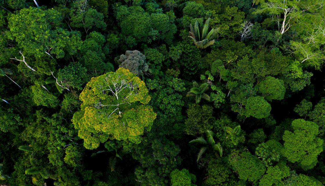 Home | Intelligent Earth